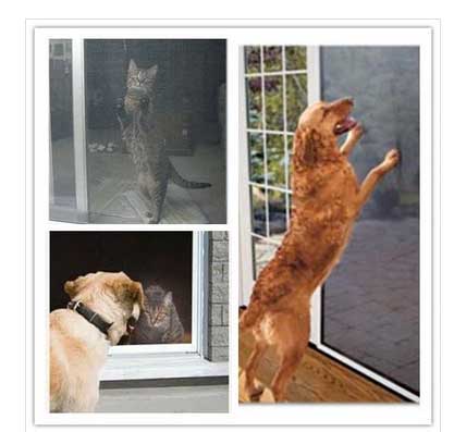 Pet Products